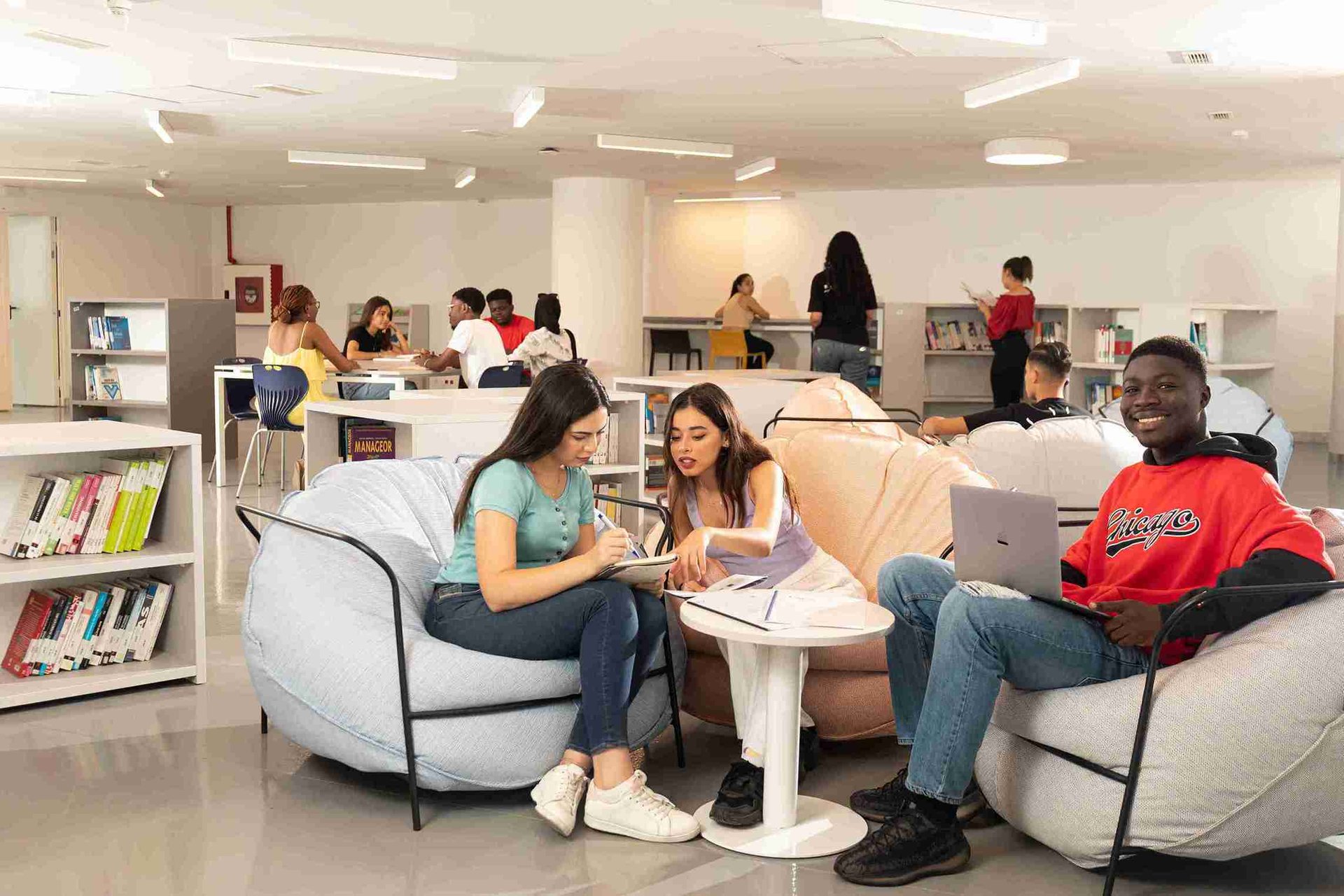 Licence, licence professionnelle, quelles différences